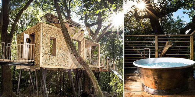 34 Stunning Tree House Designs You Never Seen Before Luxury Tree