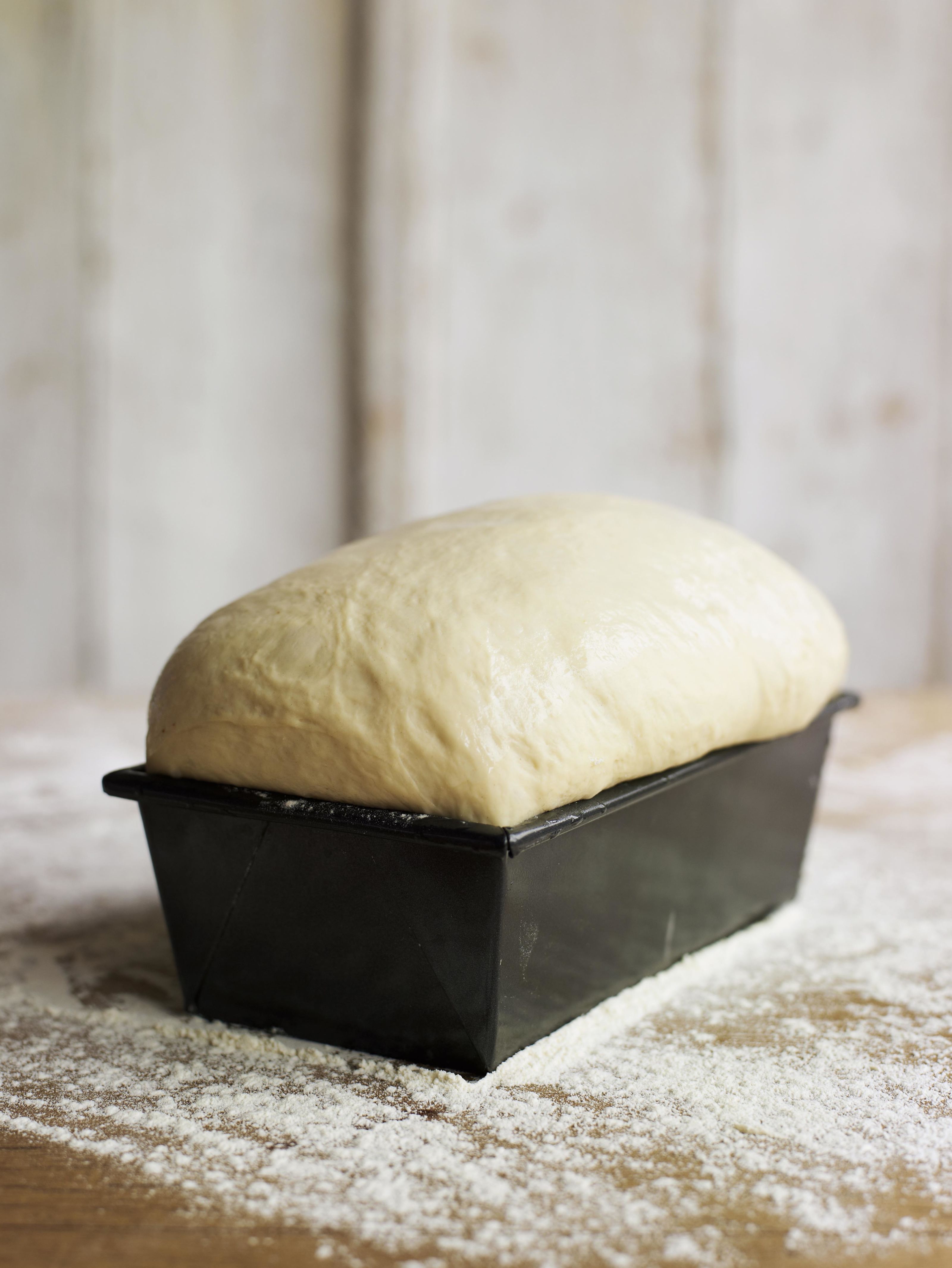 Is Bread Dough Poisonous To Dogs