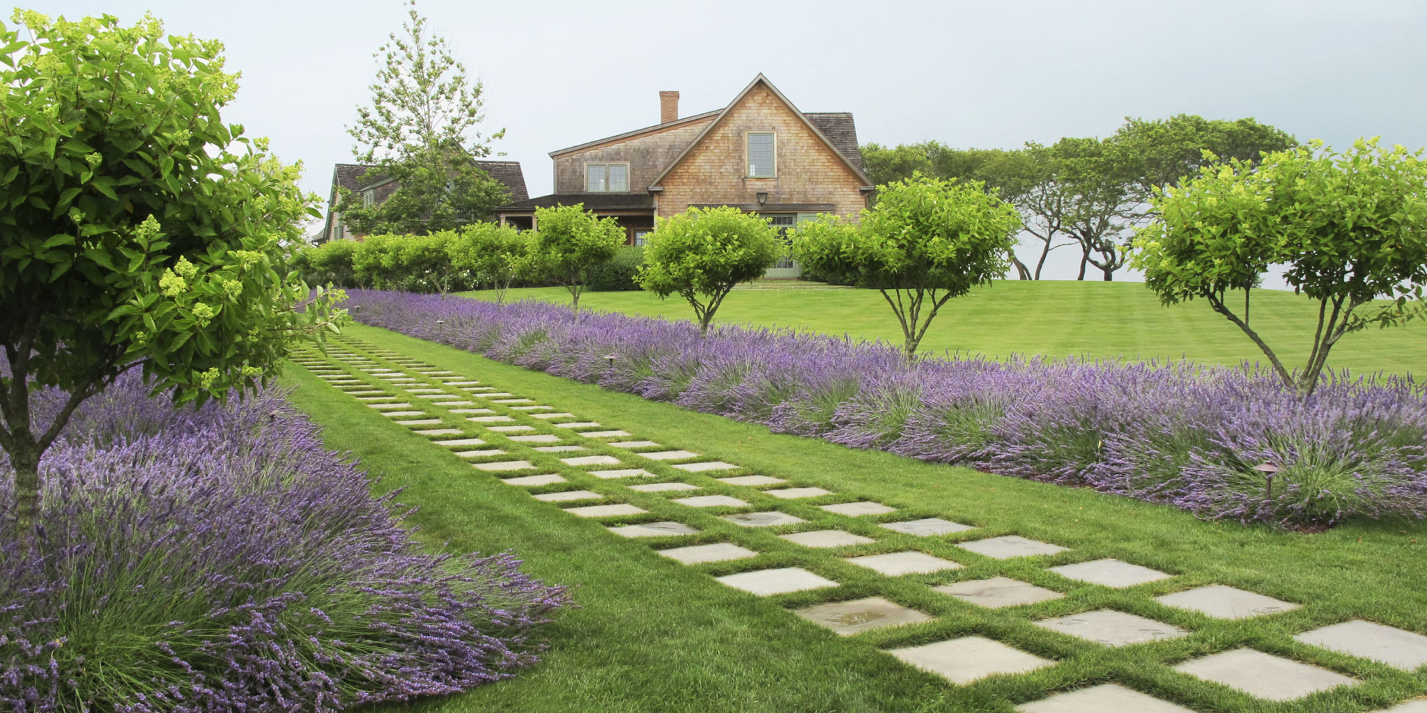 Lavender Garden Ideas