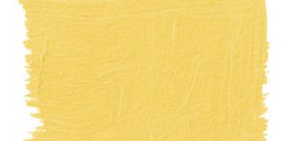 Chesapeake Yellow Paint Color